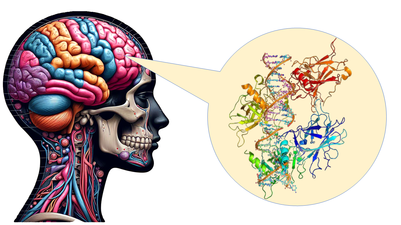 Exploring the Intricacies of Brain Cells: The Vital Importance of ...